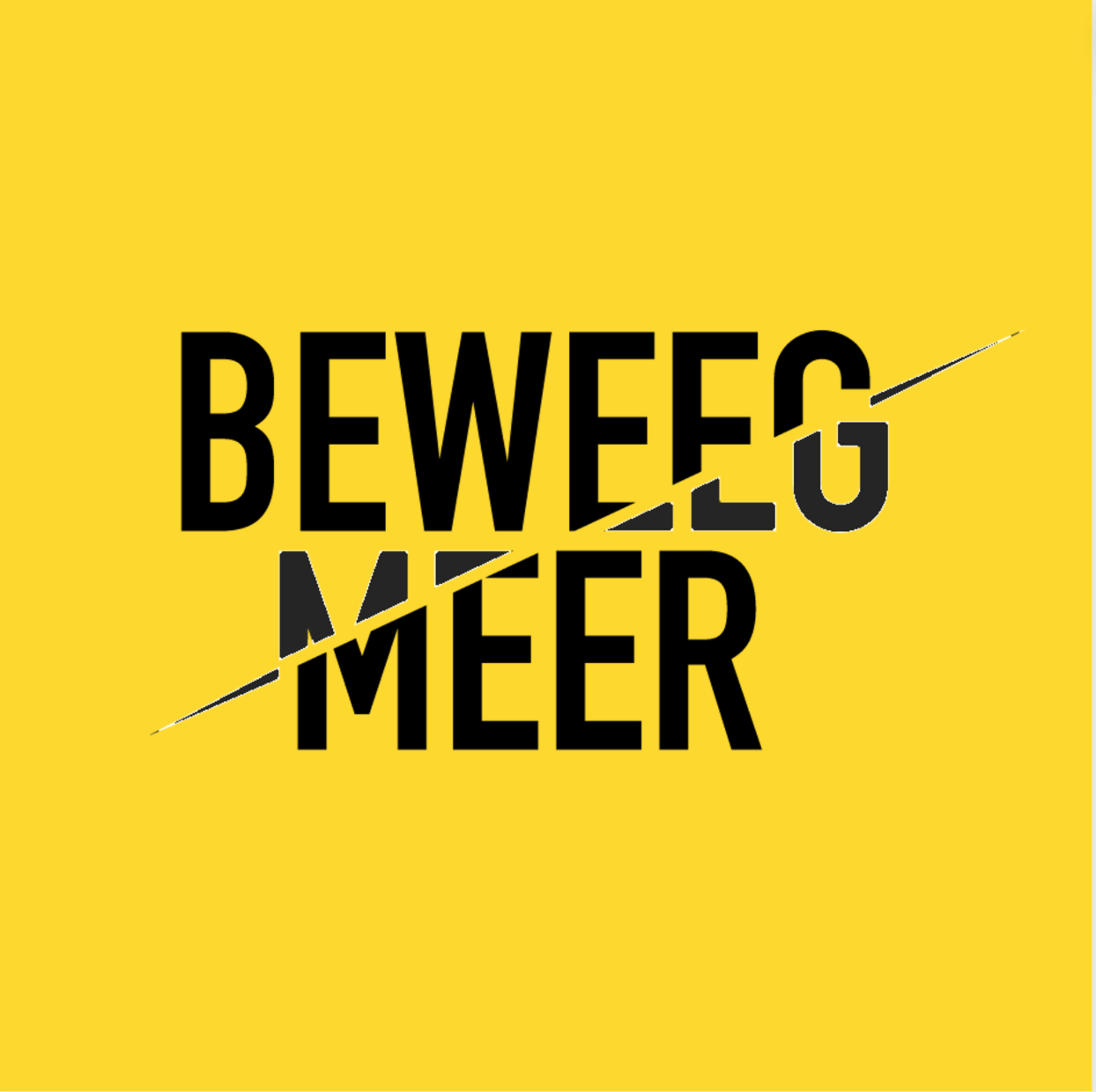 Beweeg Meer Gent - Kinesitherapie, Personal Training en Coaching